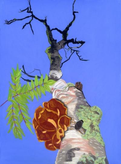 Giclee Tree Painting - Artist's Point Birch